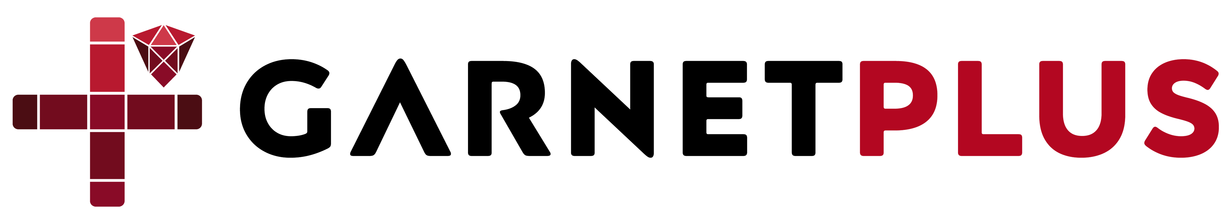 GarnetPlus